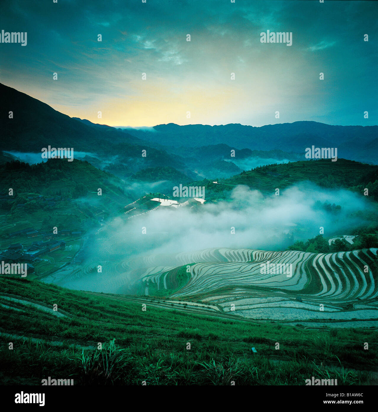 terrace at Longsheng,Guangxi,China Stock Photo - Alamy