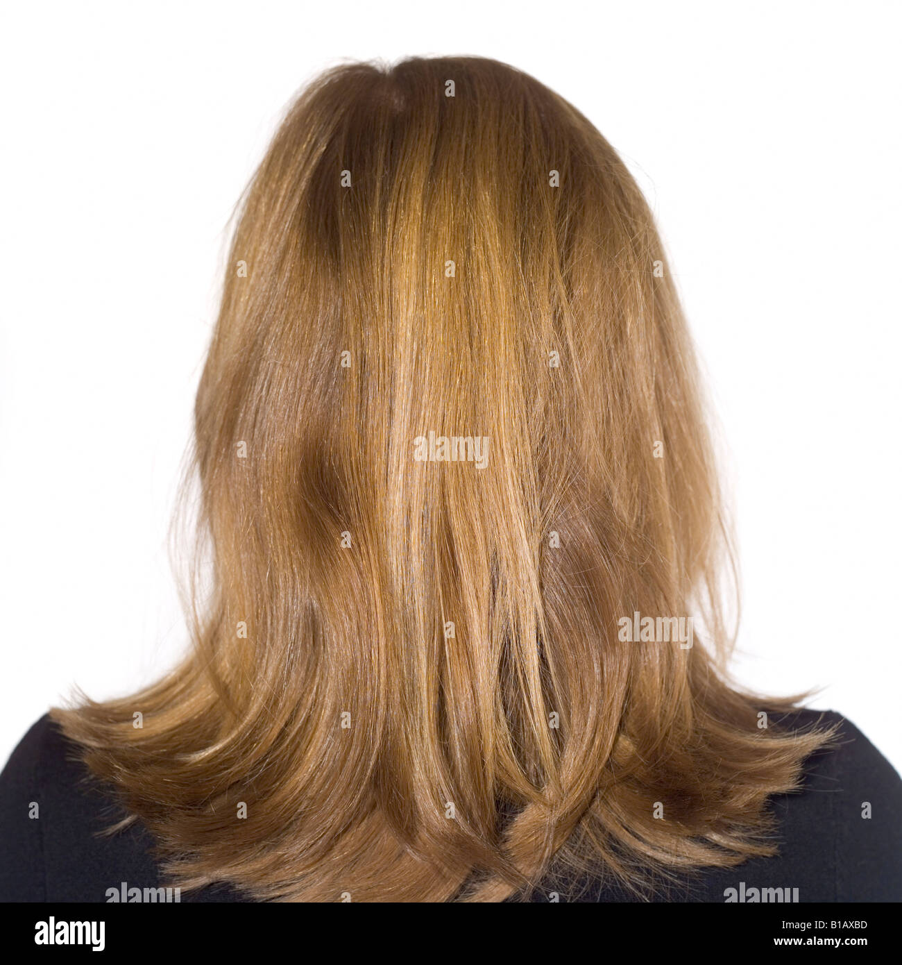 Photo view from rear Cut Out Stock Images & Pictures - Alamy