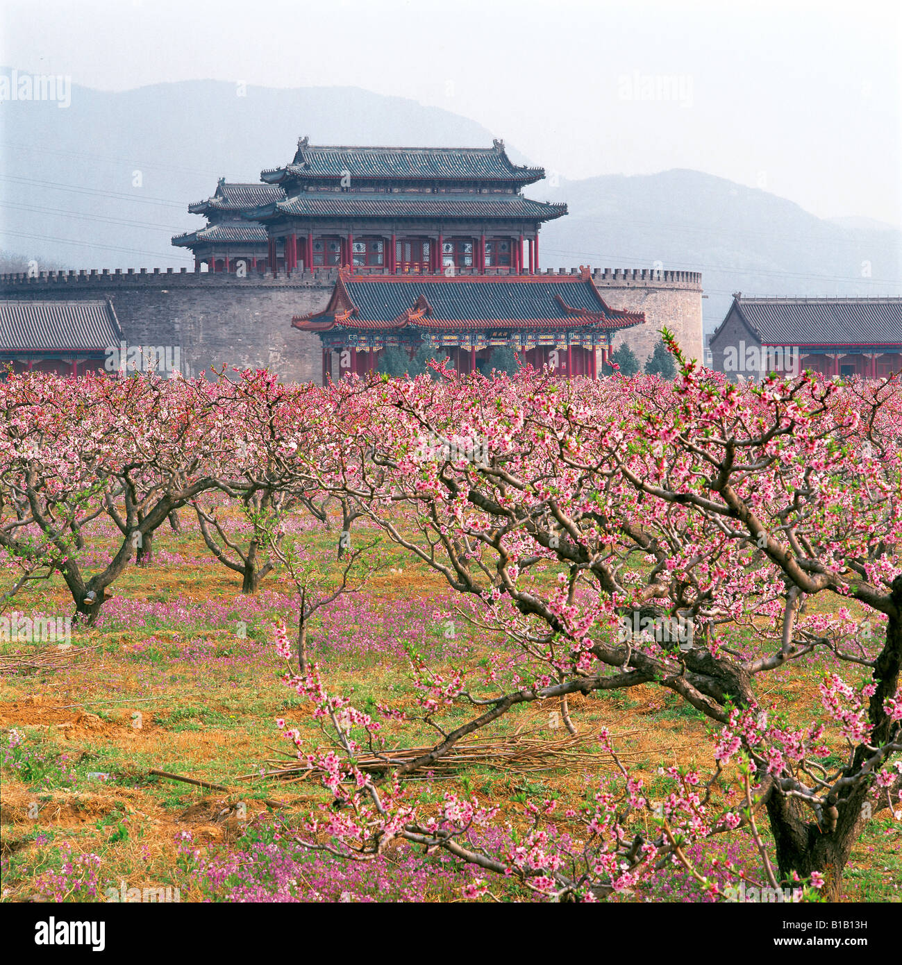 Tuancheng hi-res stock photography and images - Alamy