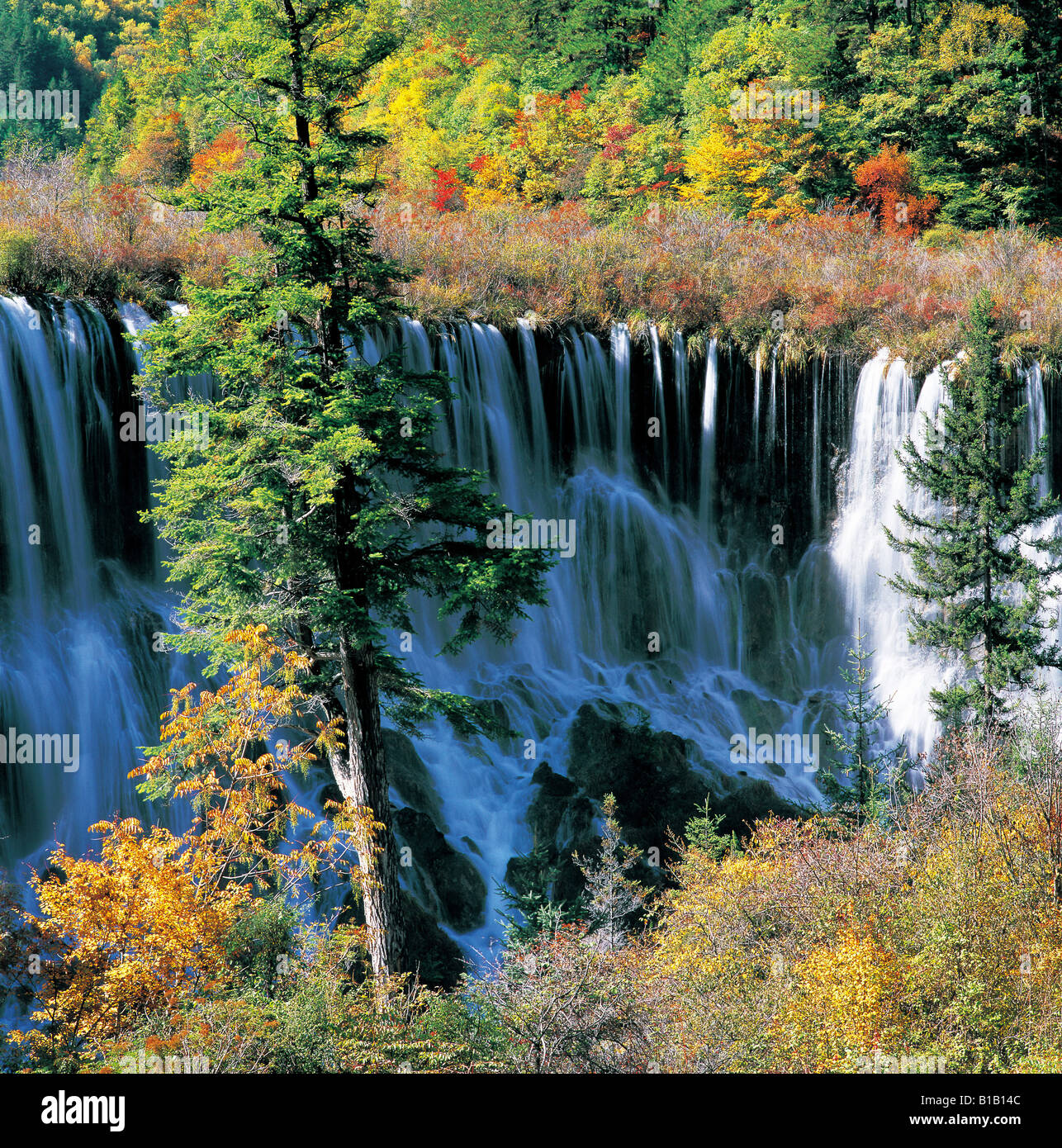 trees and waterfall at Jiuzhaigou,Sichuan,China Stock Photo - Alamy