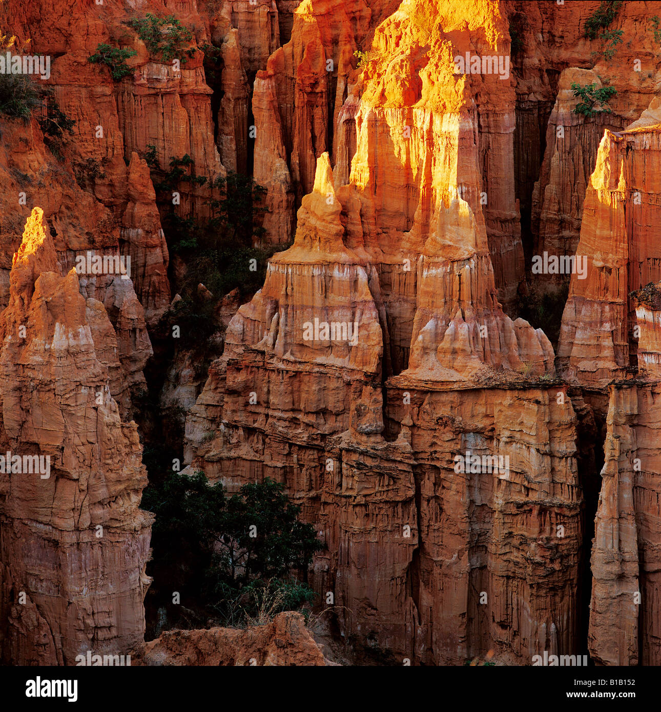 Yuanmou Clay Forest,Yunnan,China Stock Photo - Alamy