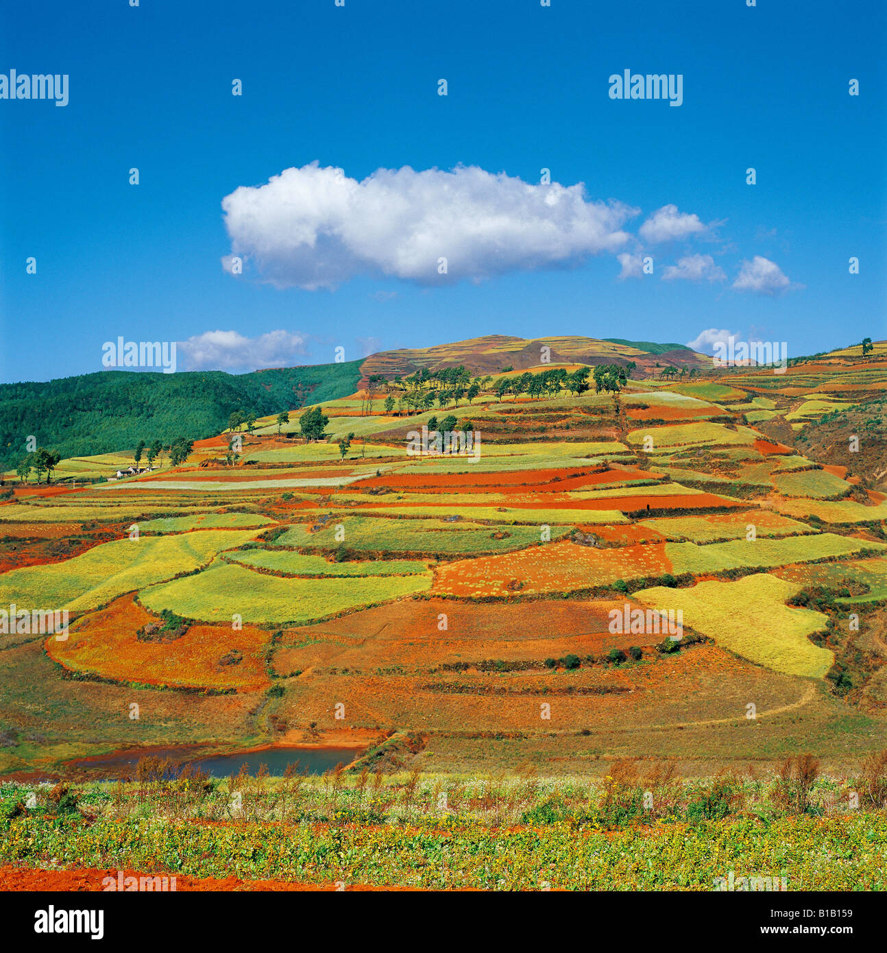 Red earth at dongchuan hi-res stock photography and images - Alamy