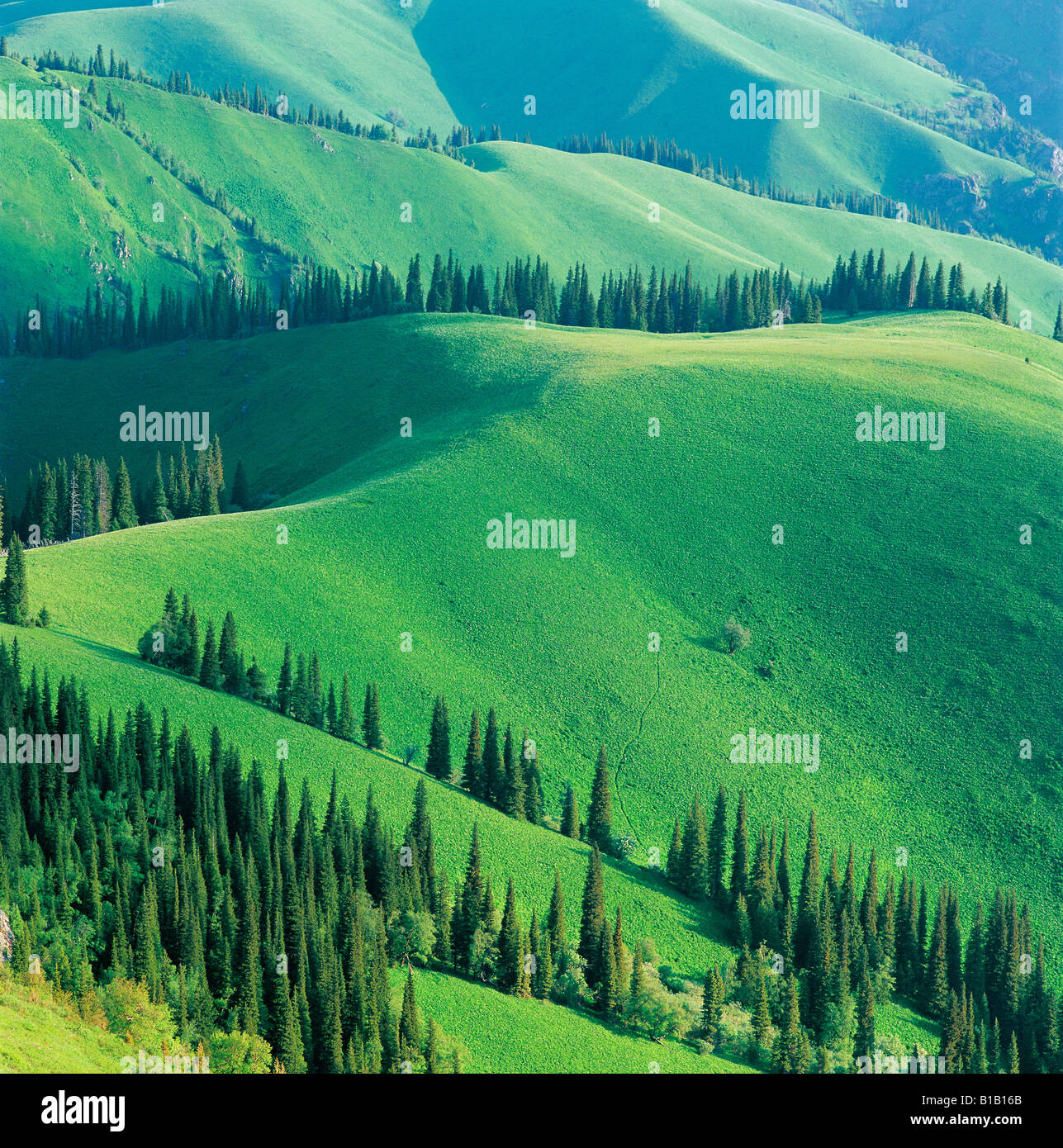 scenic of Bayinbuluke,Xinjiang,China Stock Photo - Alamy