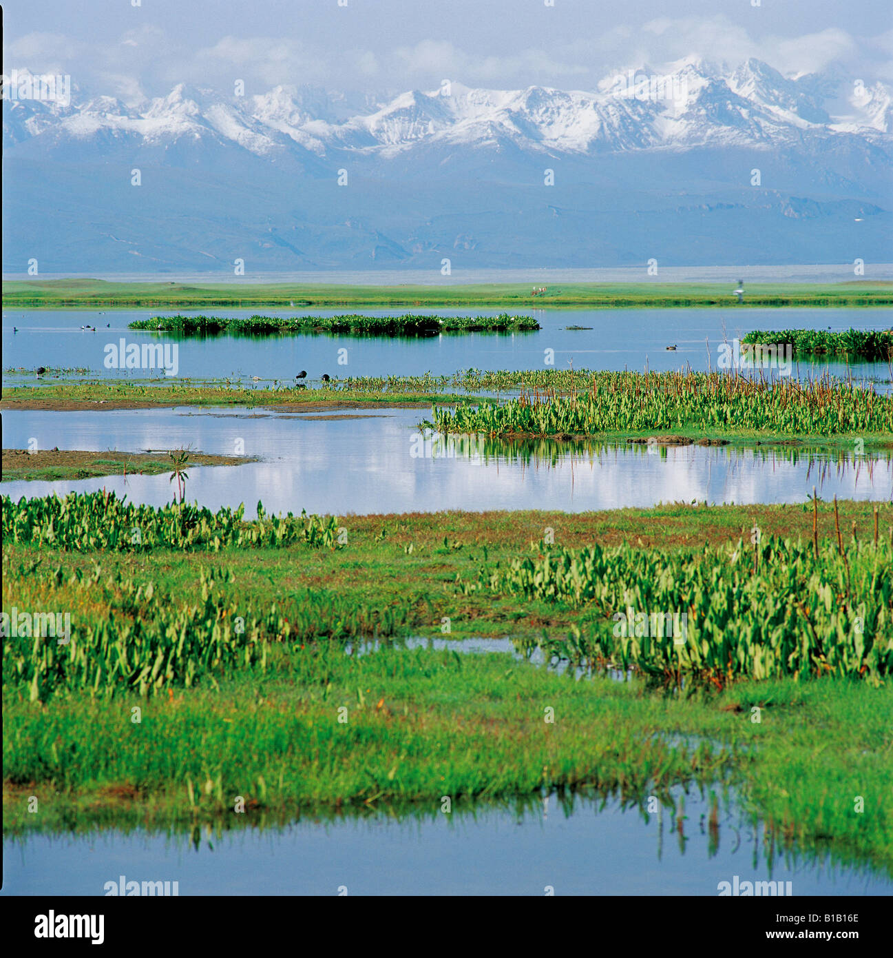 scenic of Bayinbuluke,Xinjiang,China Stock Photo - Alamy