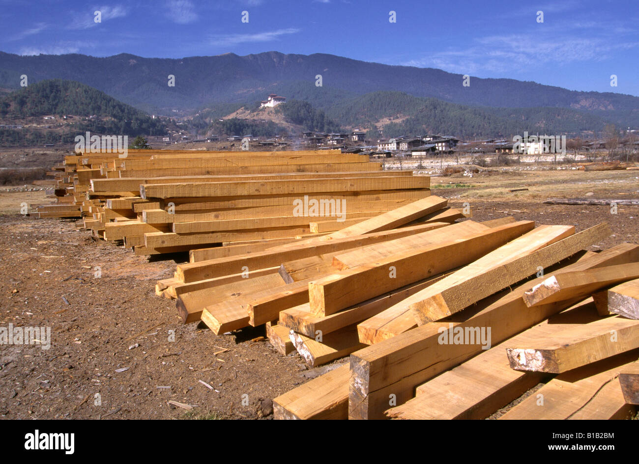 Bhutan Bumthang Valley Jakar sawmill sawn wood for housebuilding Stock ...