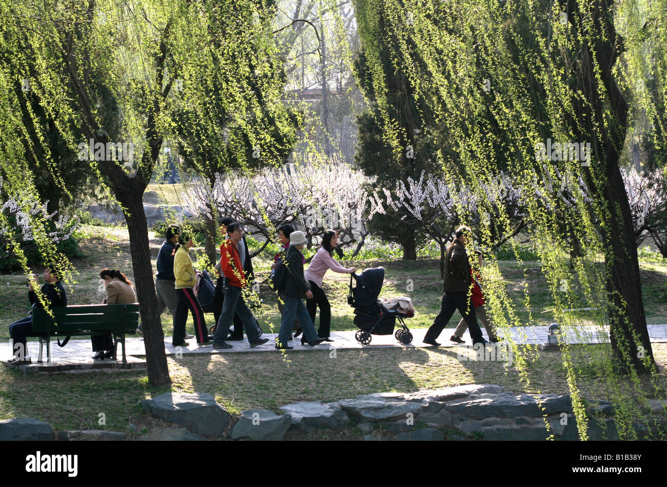 crowd in park,Beijing,spring Stock Photo - Alamy