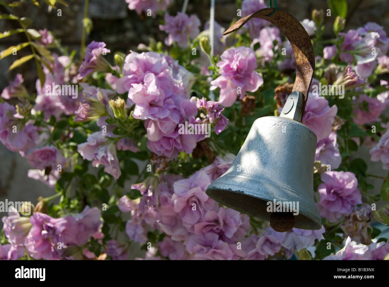 Silver bell hi-res stock photography and images - Alamy