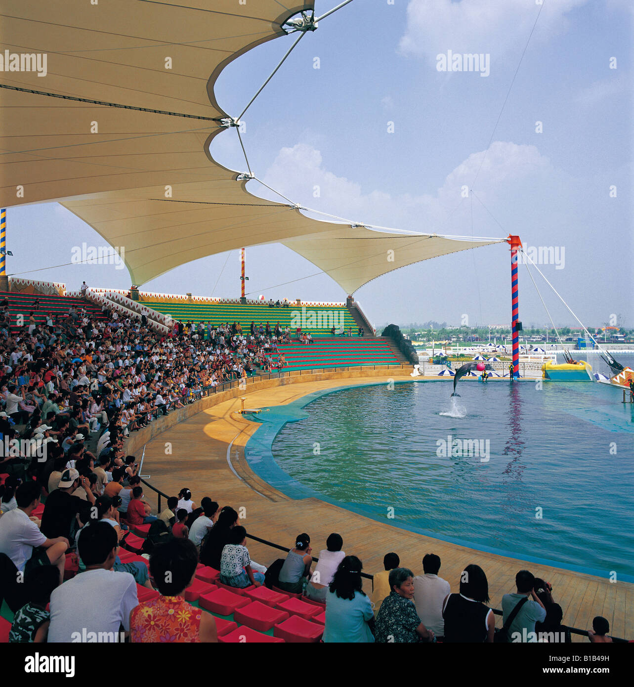 dolphin performing in ocean park Stock Photo - Alamy