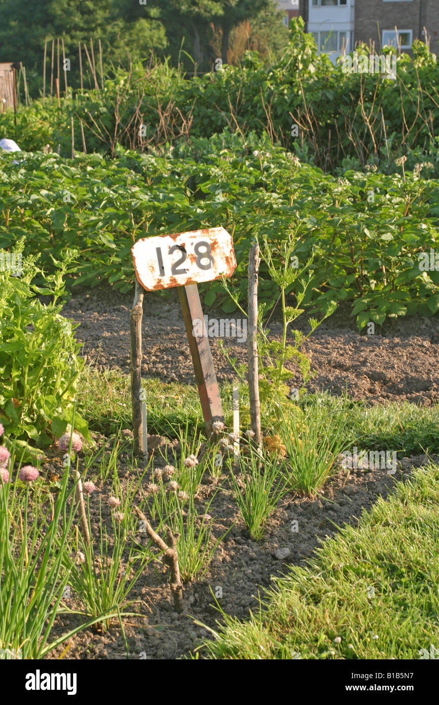 Allotment number hi-res stock photography and images - Alamy