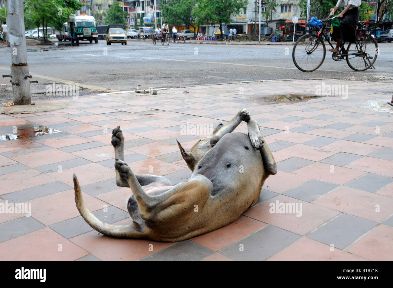 Myanmar street poverty hi-res stock photography and images - Alamy