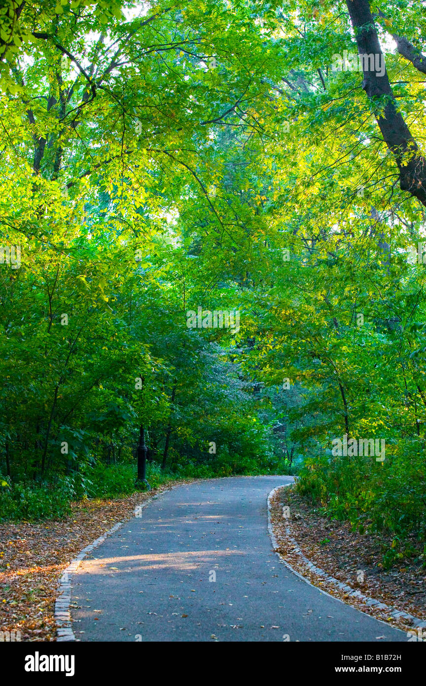 Central Park pathway, New York, USA Stock Photo - Alamy