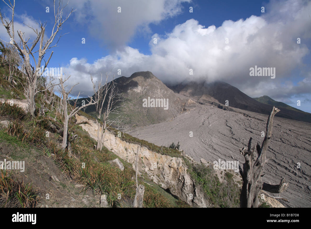 Montserrat caribbean people hi-res stock photography and images - Alamy