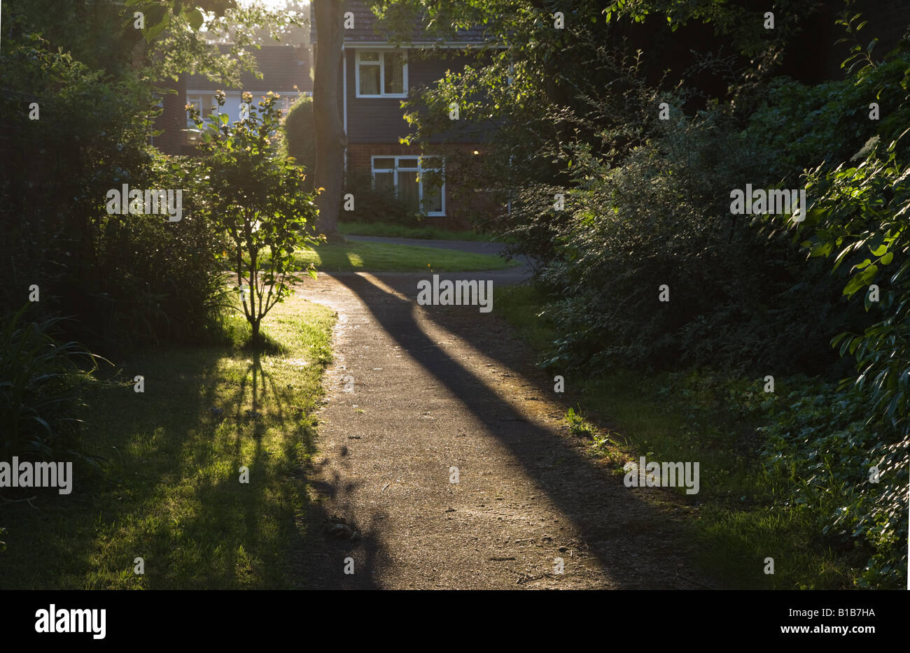 early morning low light casting shadows over a tarmac footpath between ...