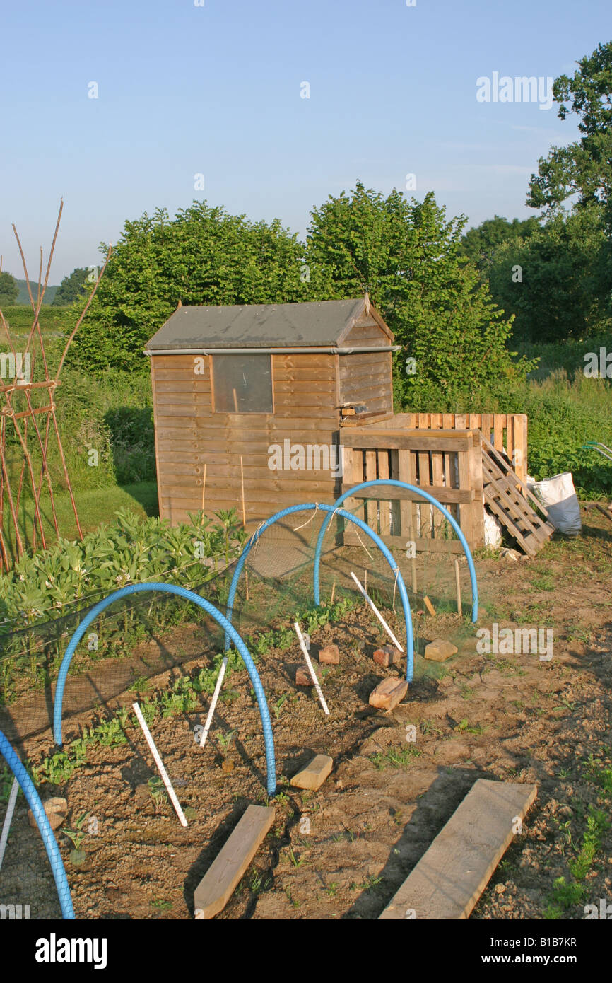 Vegetable storage shed hi-res stock photography and images - Alamy