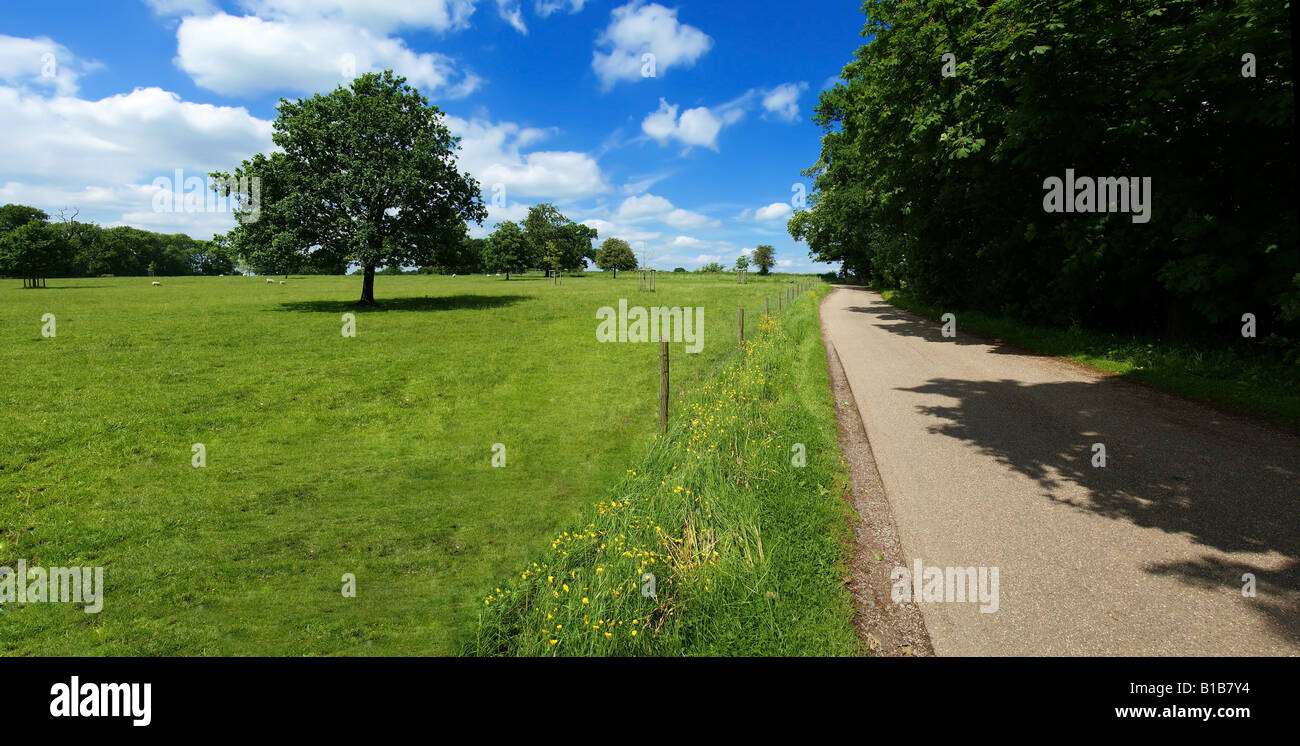 country lane the baddesley clinton estate warwickshire midlands england ...