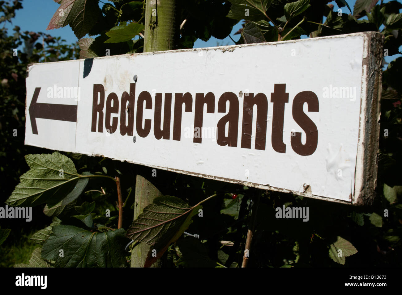 Fruit Picking, Farm Sign, Sussex, England Stock Photo - Alamy