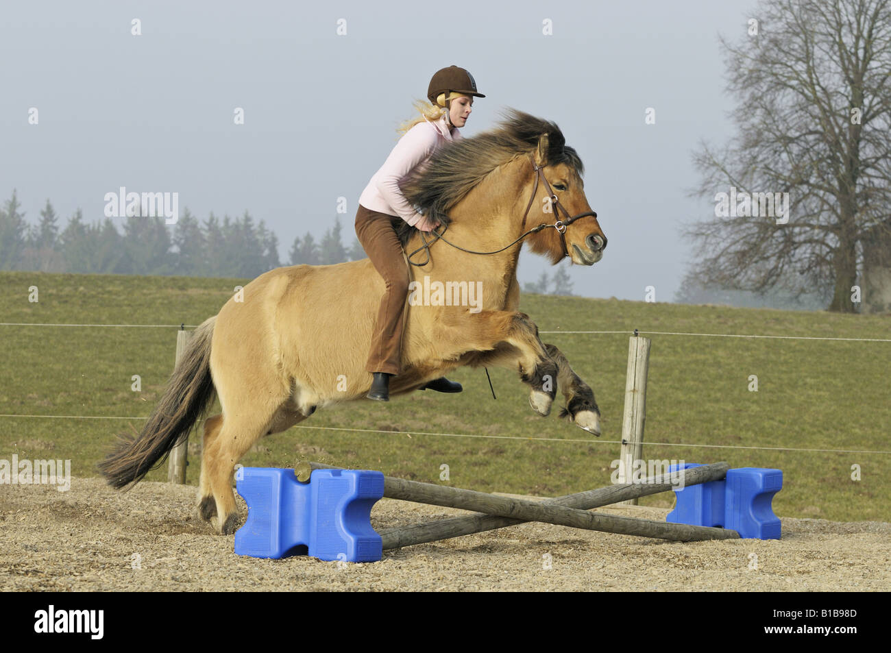 Jumping Horse Without Rider