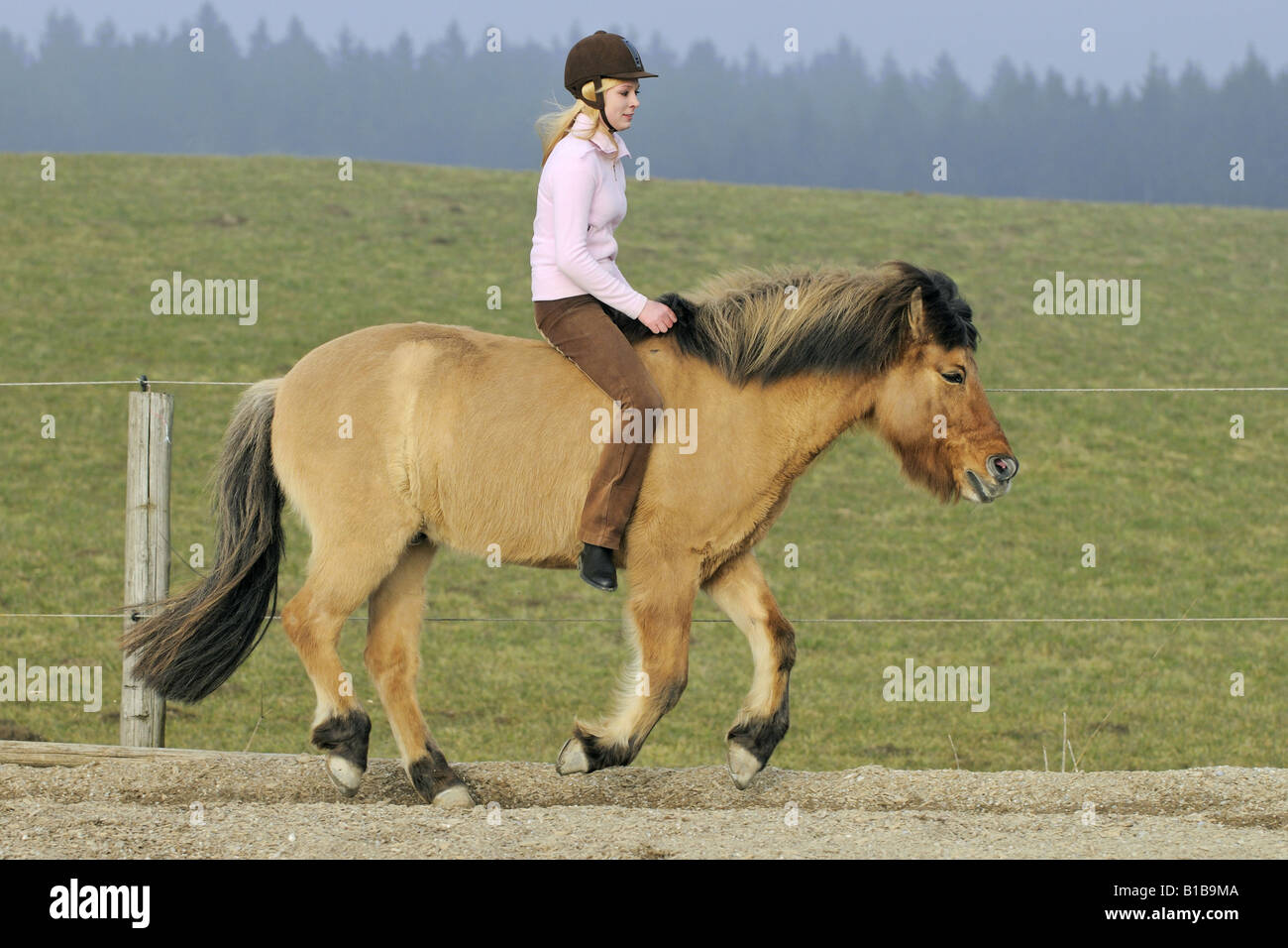 Rider kids young kid child human hi-res stock photography and images ...