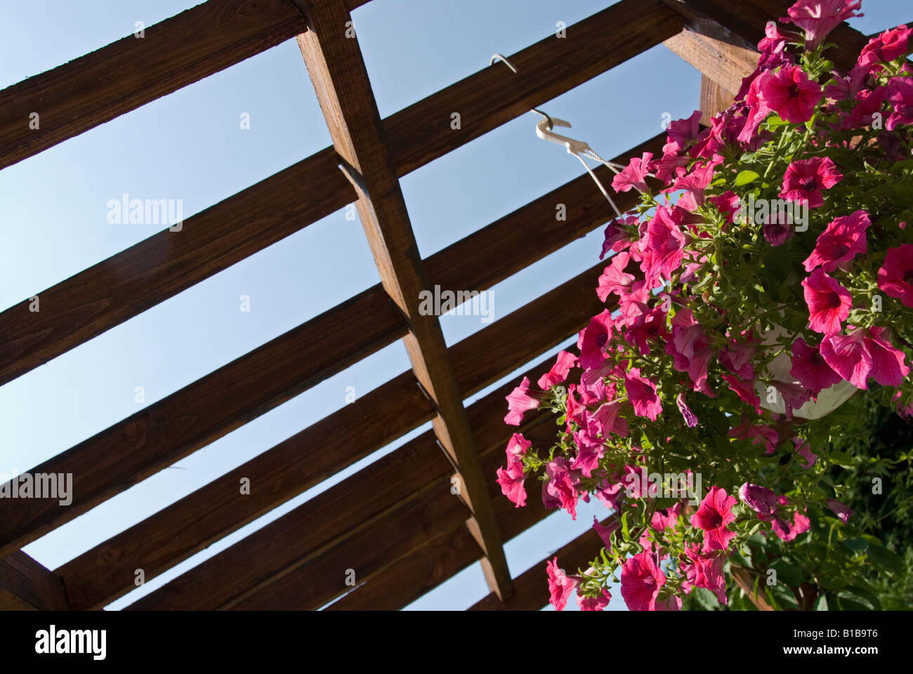 Trellis with hanging basket hi-res stock photography and images - Alamy