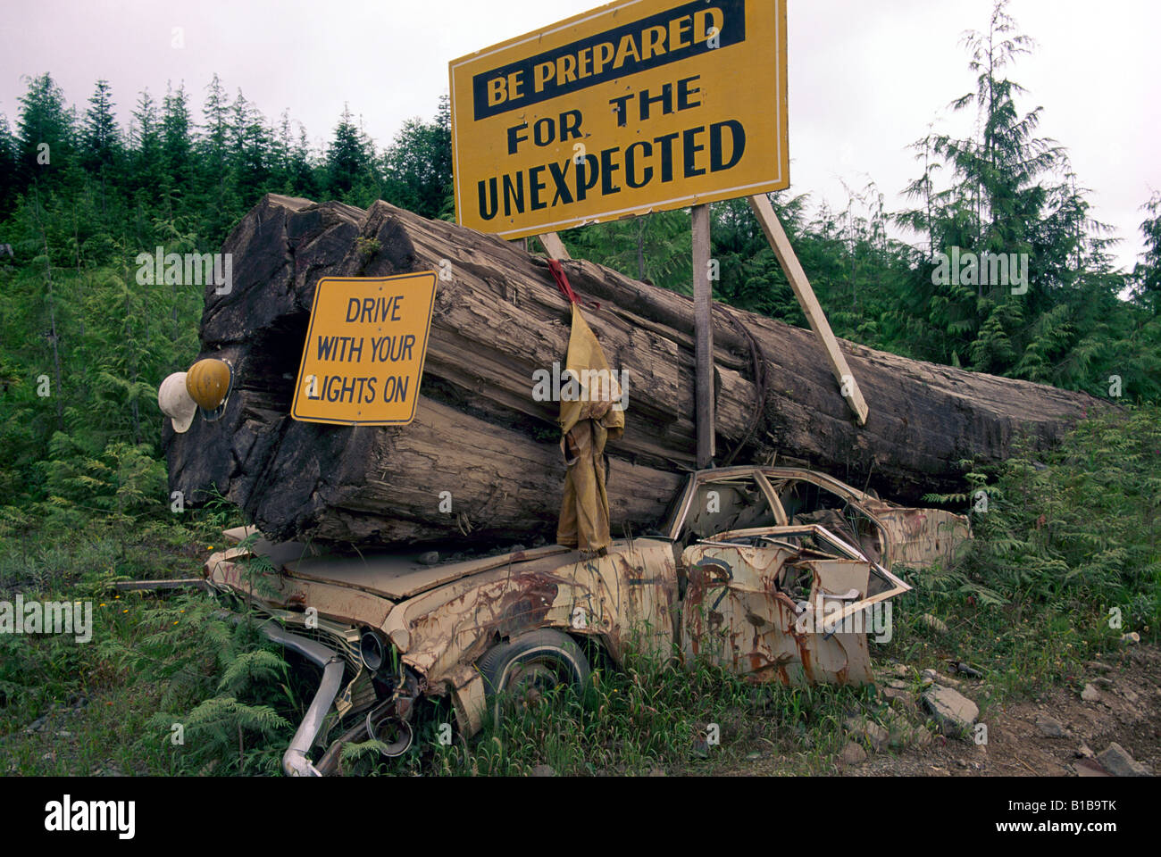 Warning Road Sign, Caution Signs - Car crushed by Big Tree on Active ...