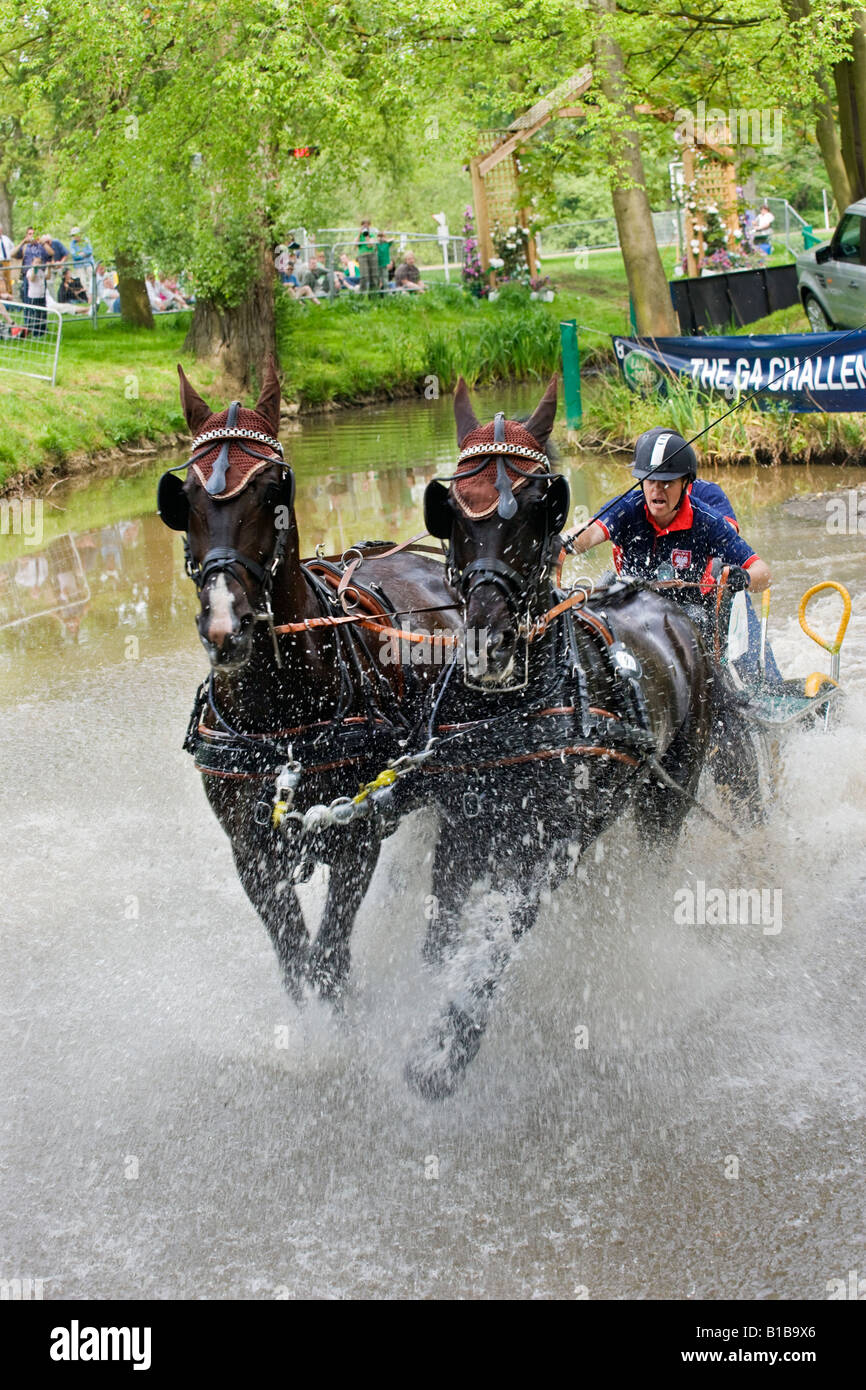 Marathon carriage hi-res stock photography and images - Alamy