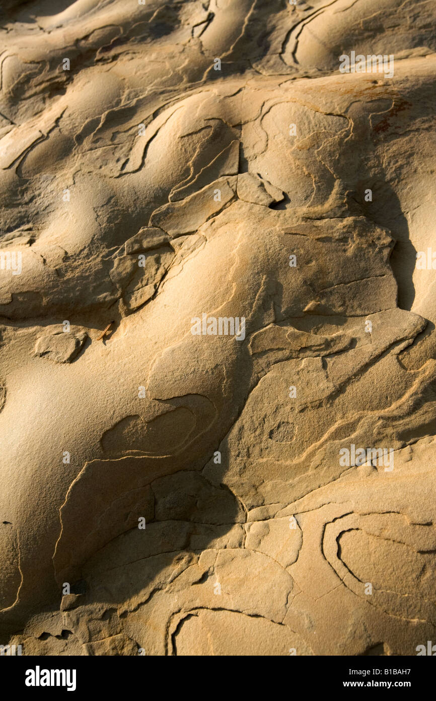 Ripple forms on rock Stock Photo - Alamy