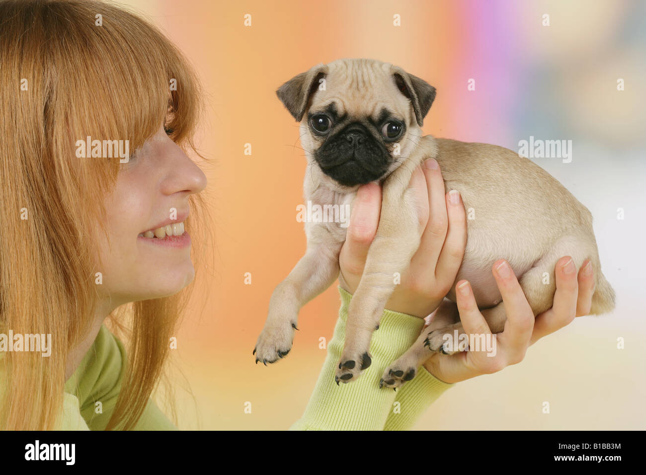 Woman - with pug cub Stock Photo - Alamy