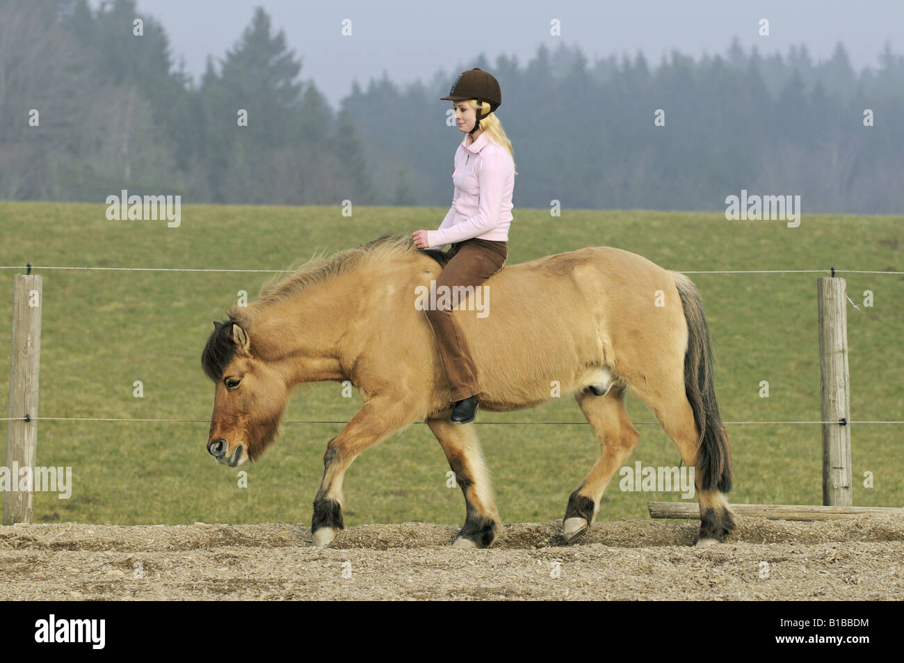 Lady on the horse hi-res stock photography and images - Alamy