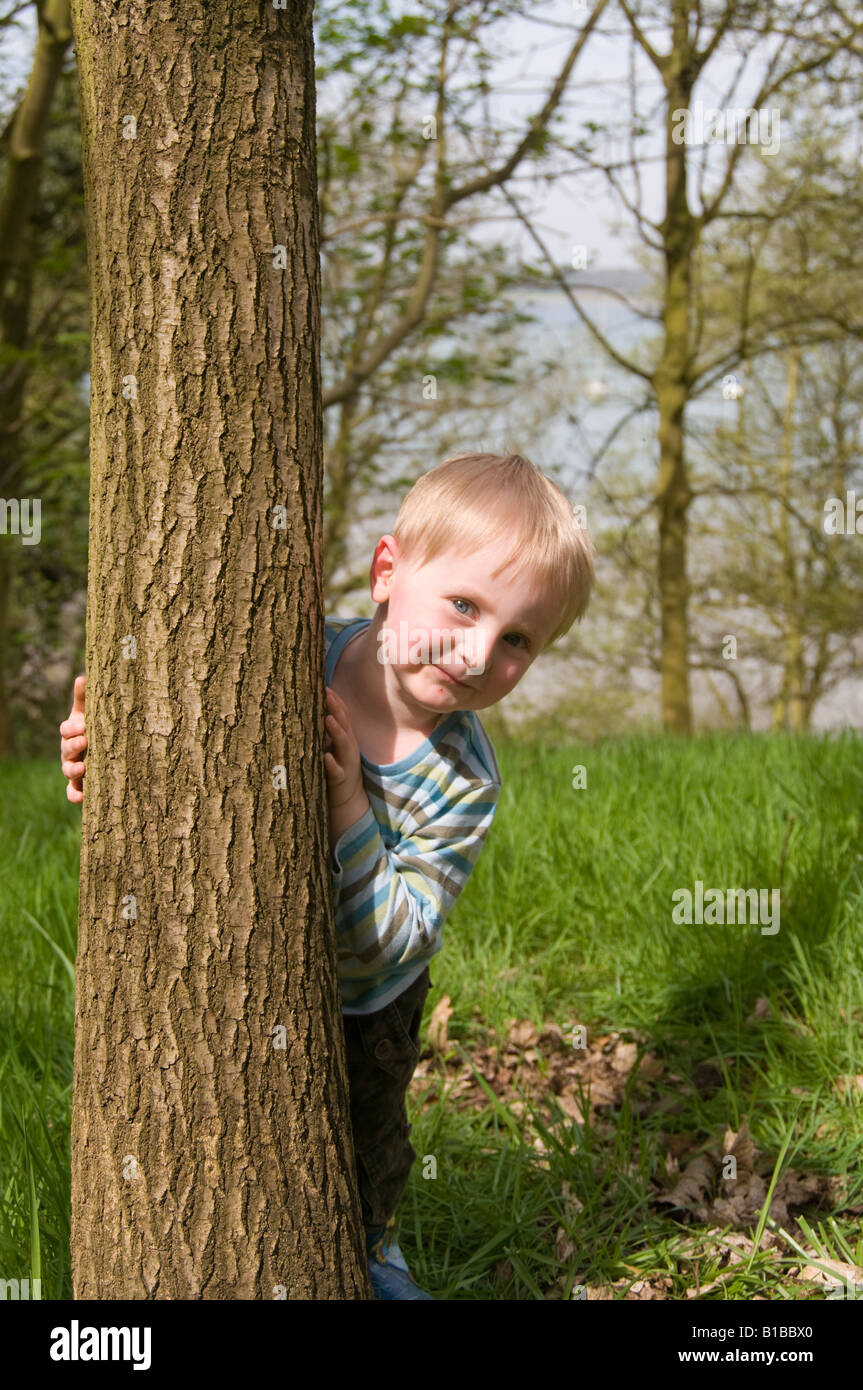Young boy looking round tree Stock Photo - Alamy