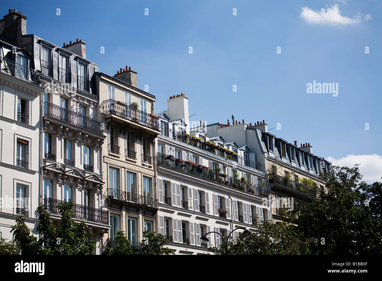 Row of trees paris hi-res stock photography and images - Alamy
