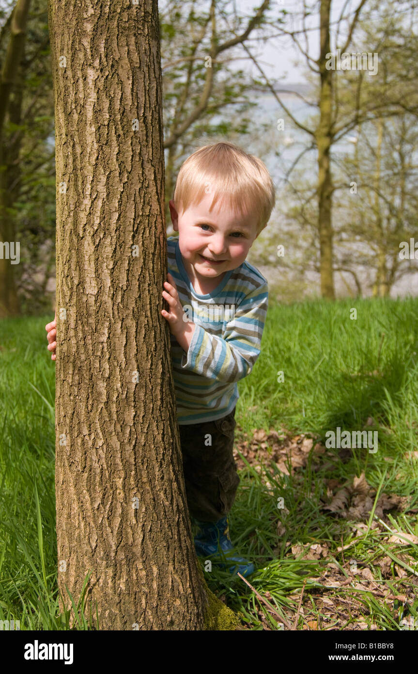 Young boy looking round tree Stock Photo - Alamy