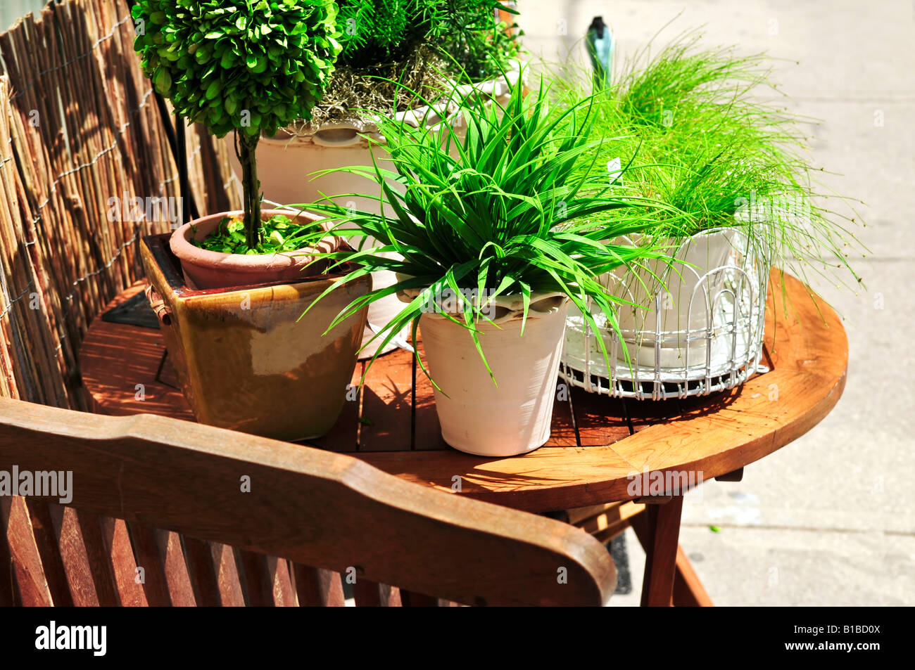 Potted green plants on wooden patio table Stock Photo - Alamy