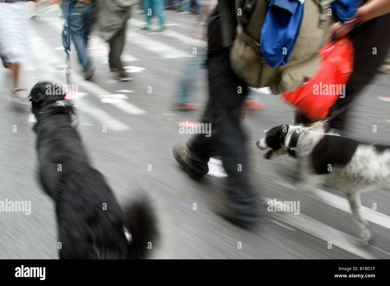 homeless people with dogs in town Stock Photo - Alamy