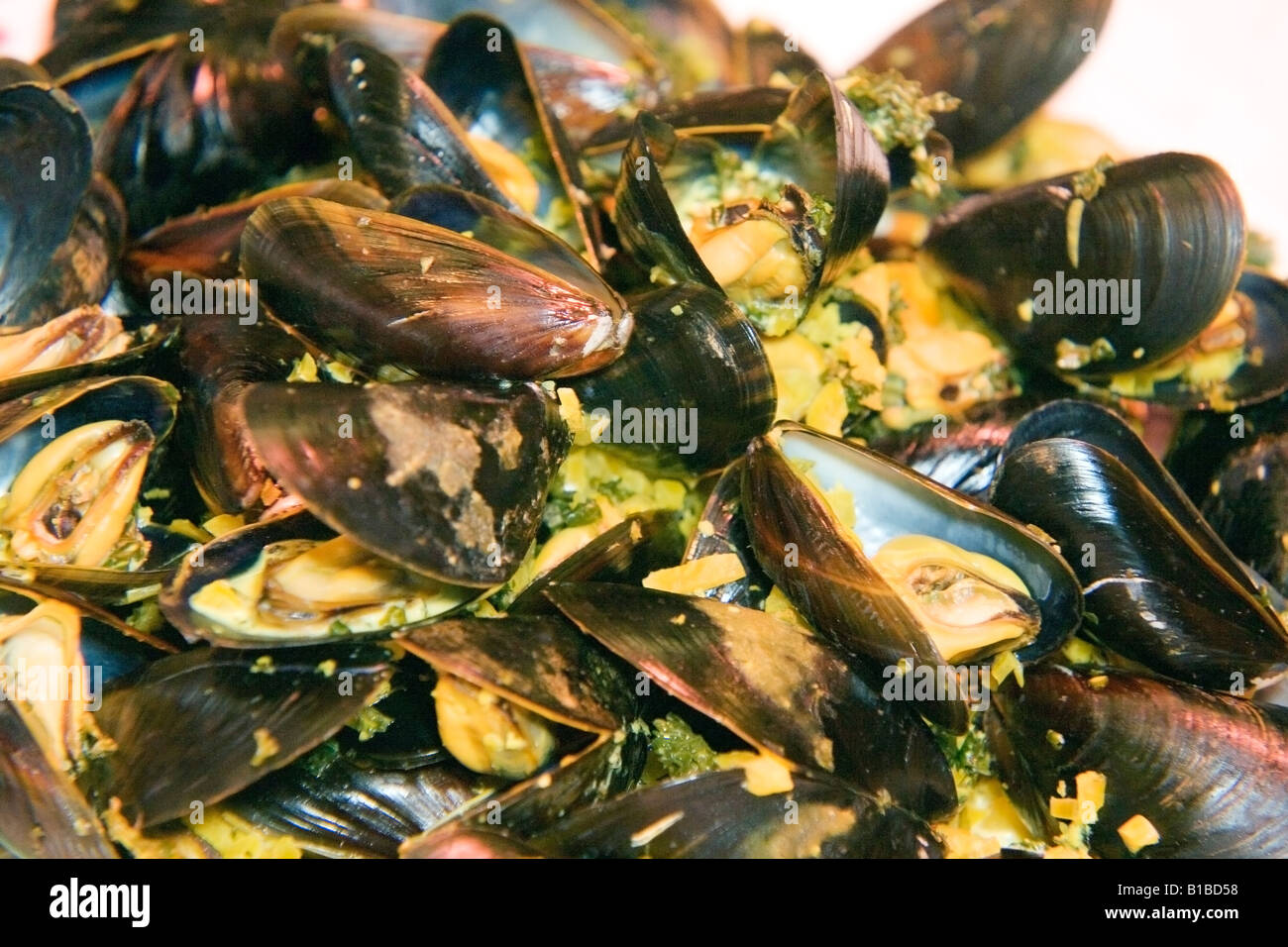 Cooked mussel meat hi-res stock photography and images - Alamy