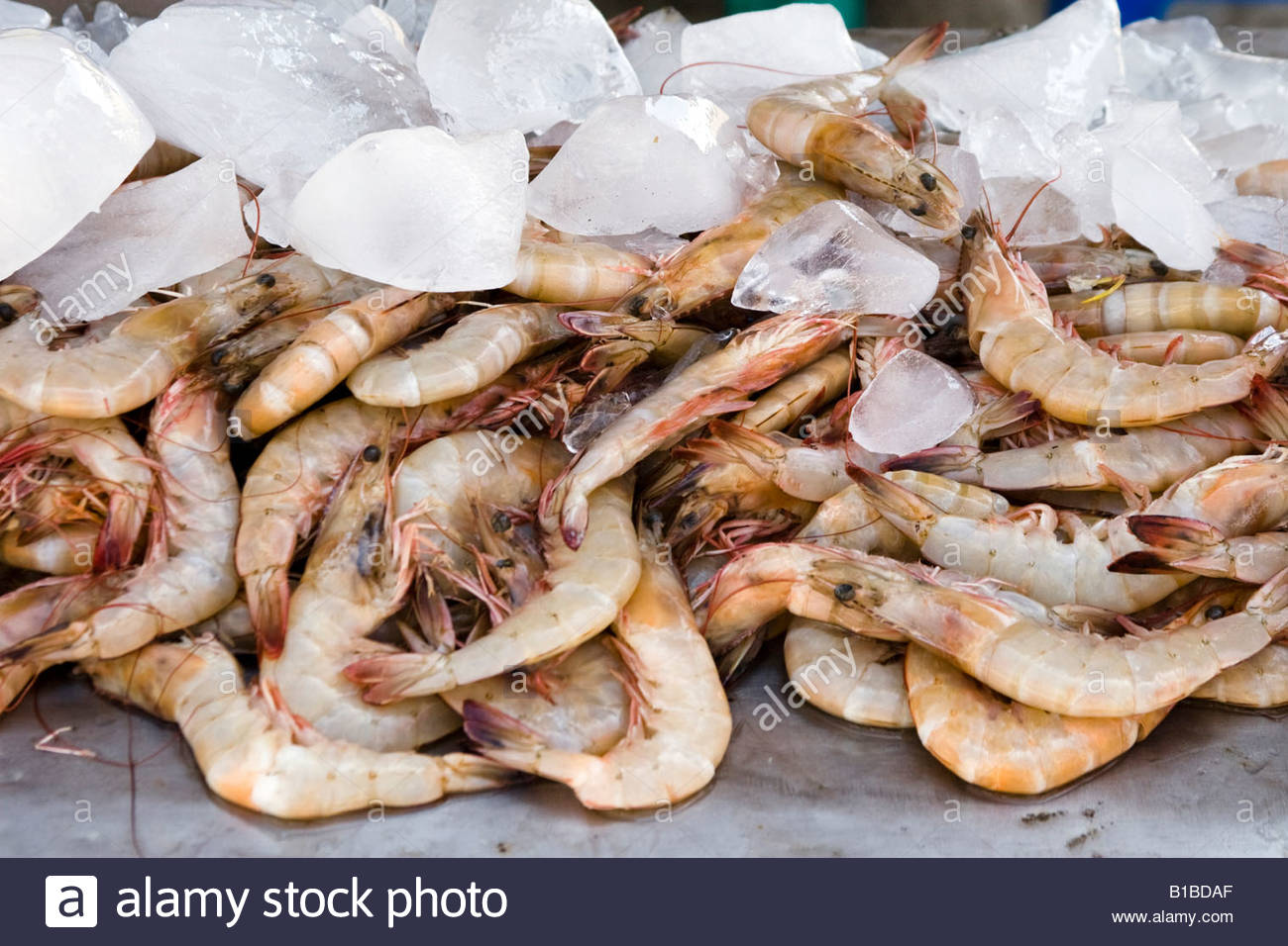 Ceviche Ecuador Stock Photos & Ceviche Ecuador Stock Images - Alamy