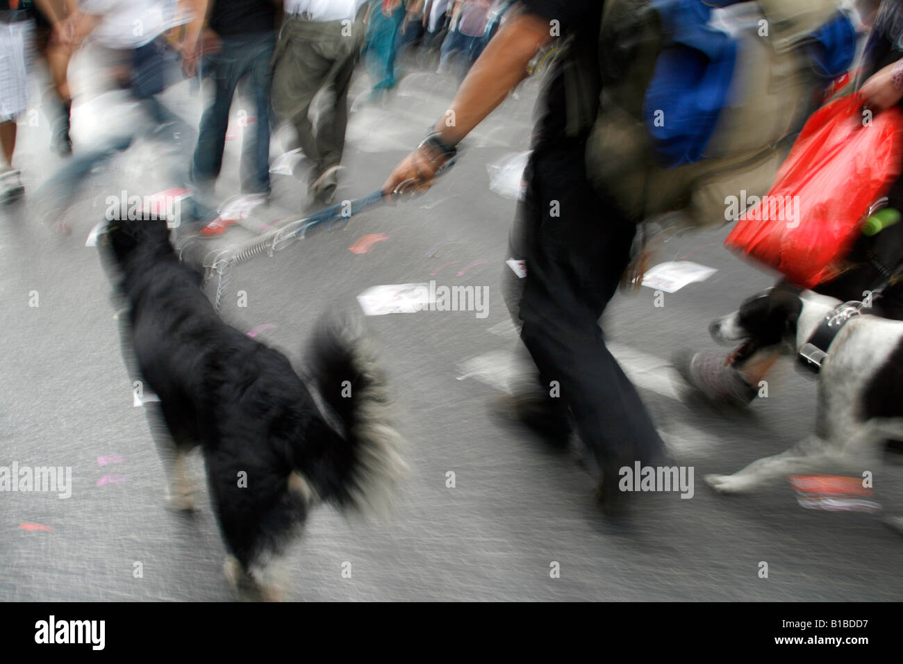 homeless people with dogs in town Stock Photo - Alamy