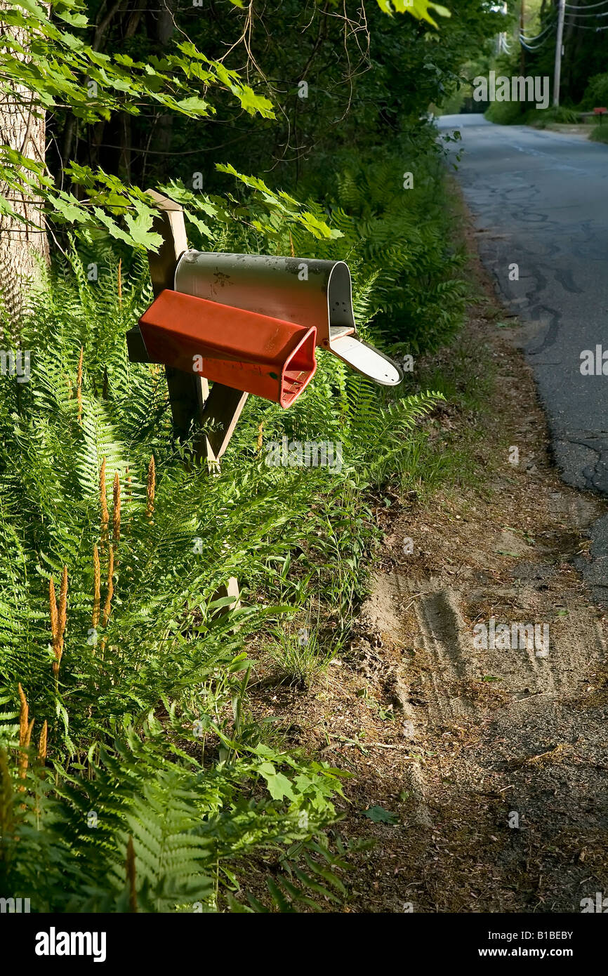 Photograph of a newspaper box and mail box on the side of a country ...