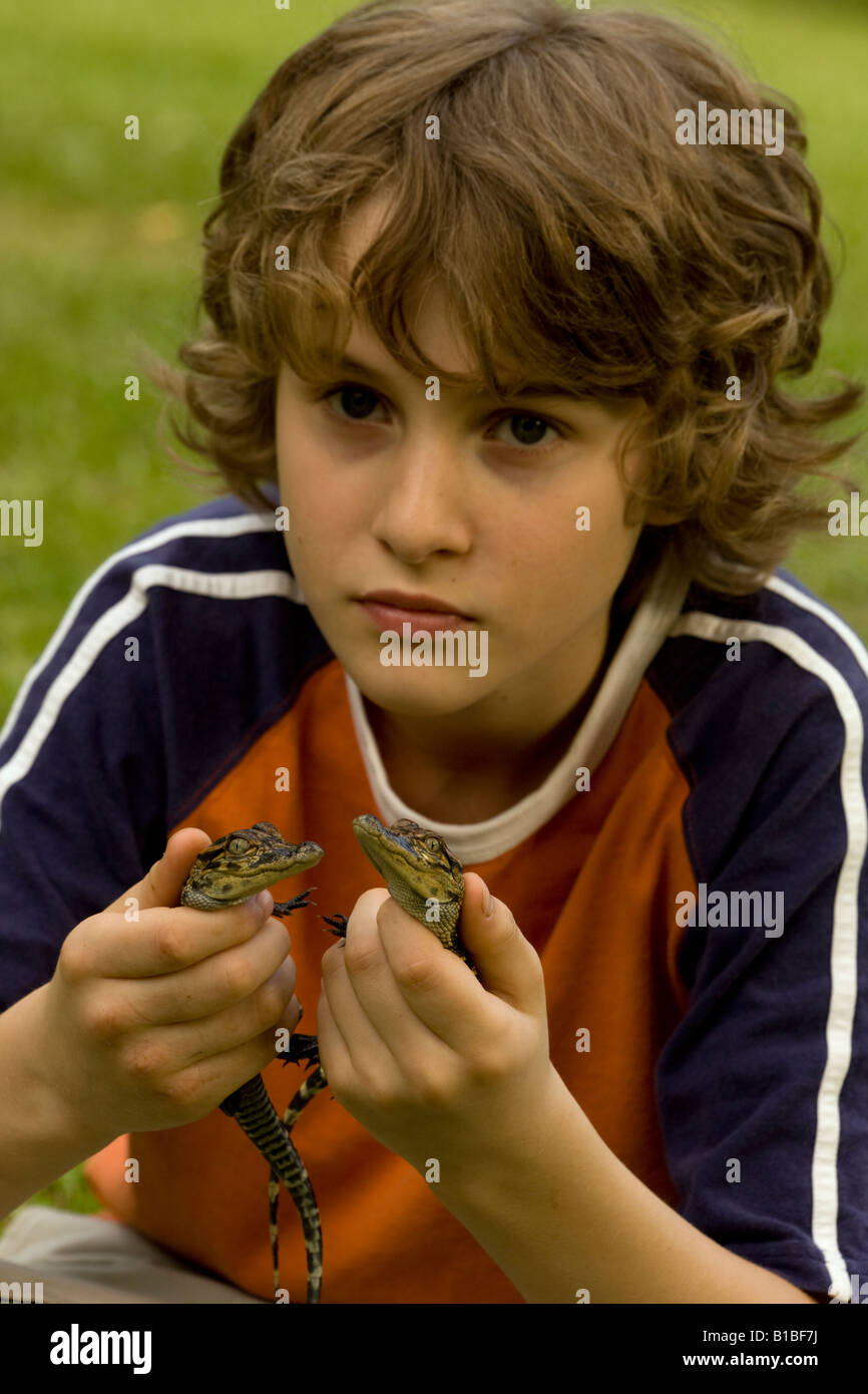 Boy Holding Young American Alligators (Alligator mississippiensis ...