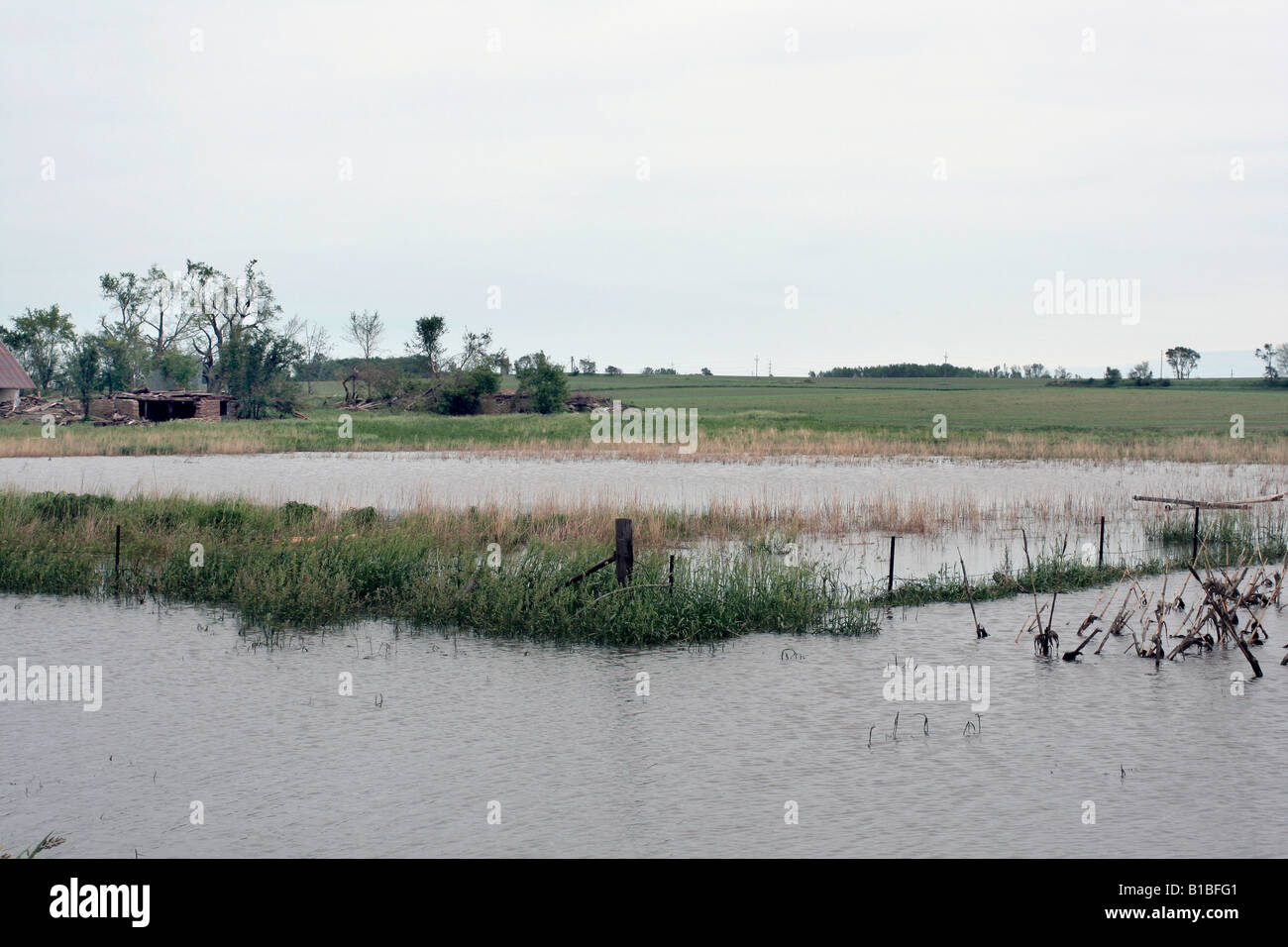 Flooded crops barn destroyed by tornado and debris electric pole in ...