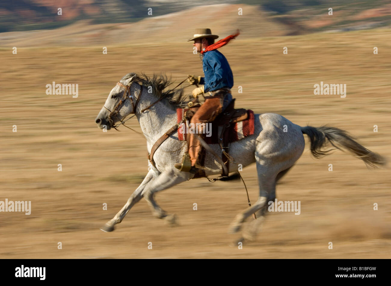 Speeding horses hi-res stock photography and images - Alamy