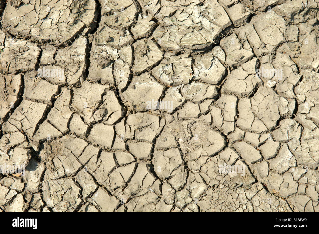 Earth recovery hi-res stock photography and images - Alamy