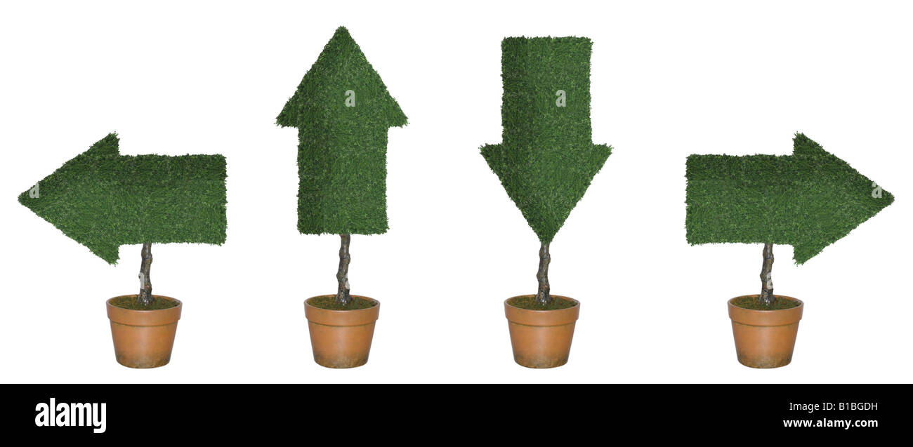 Four topiary trees in shape of arrows cut out on white background Stock ...