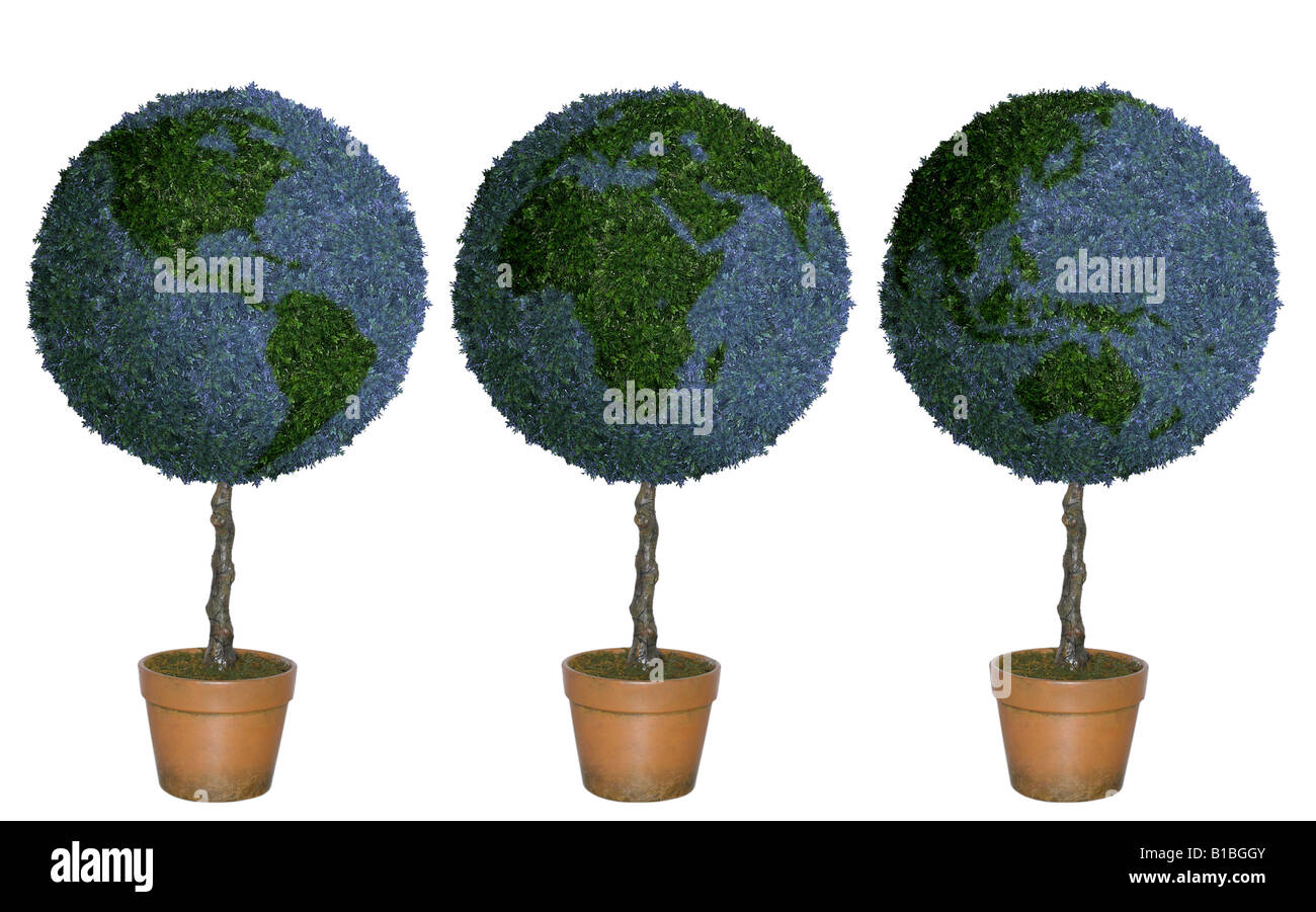 Topiary trees that look like globes cut out on white background Stock ...