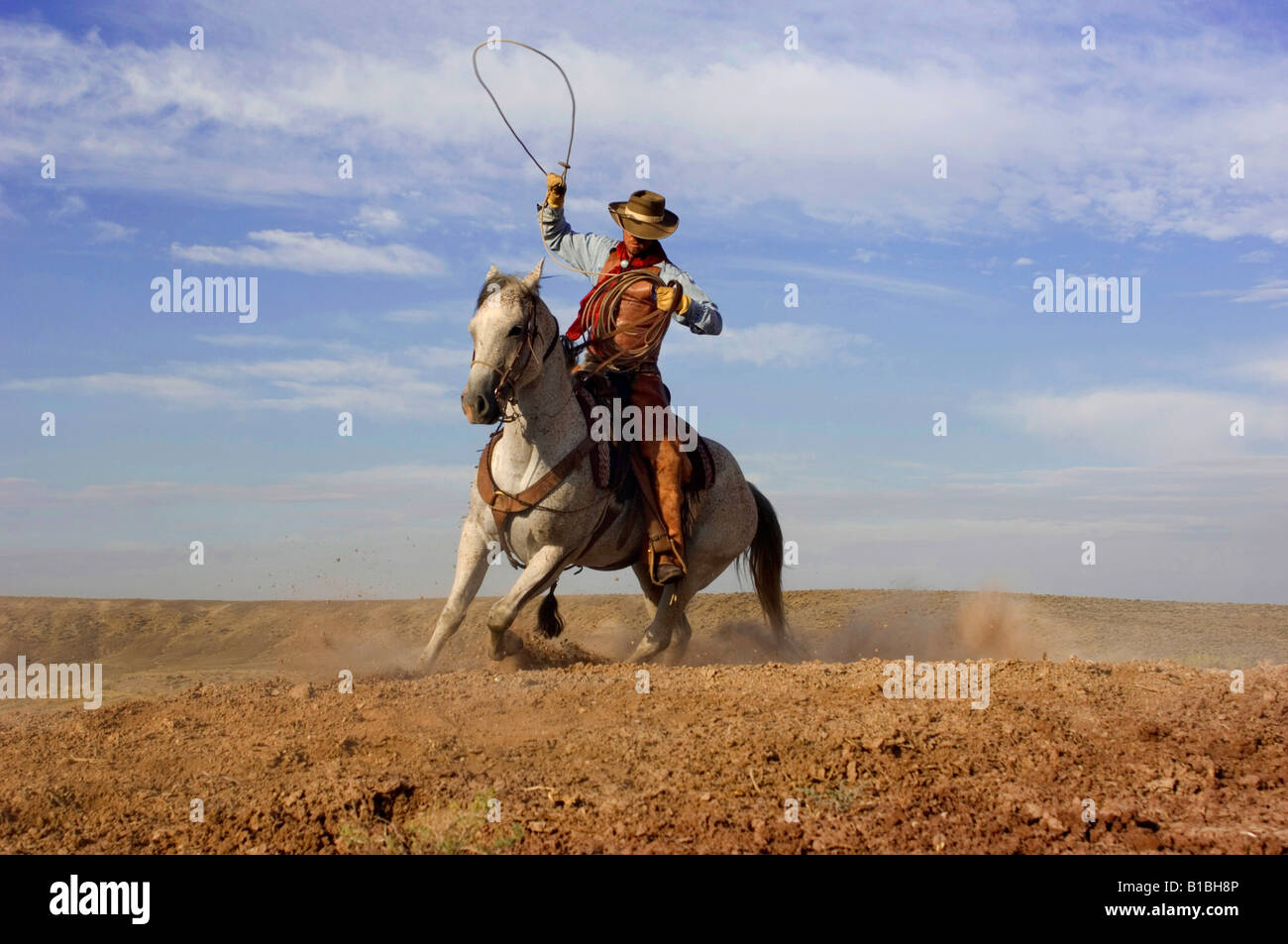 Cowboy Riding and Roping Stock Photo - Alamy