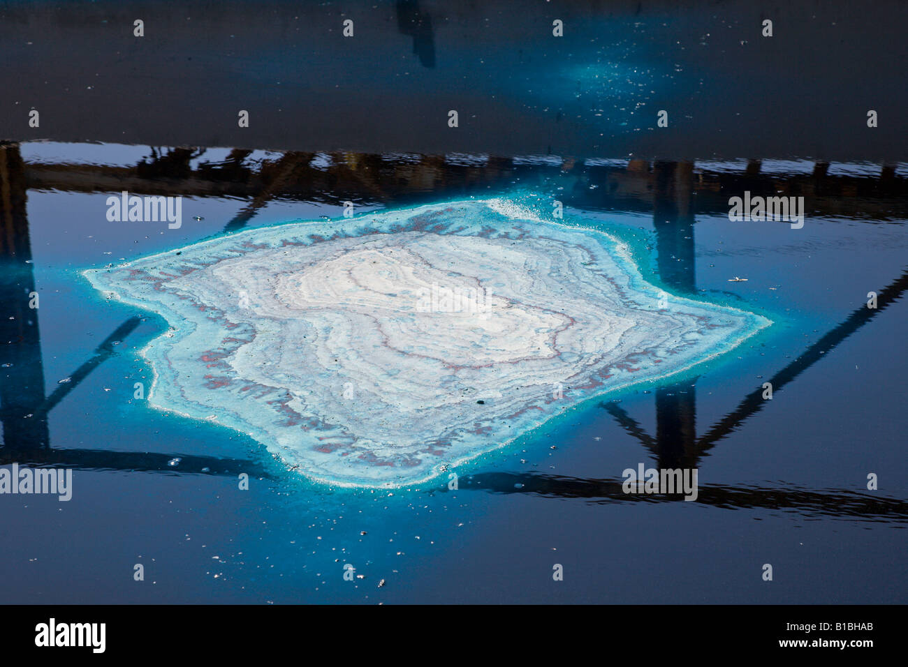 Algae fuel hi-res stock photography and images - Alamy