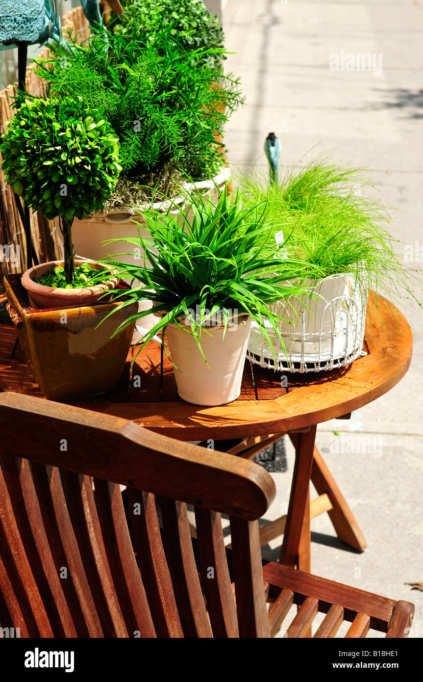 Potted green plants on wooden patio table Stock Photo - Alamy
