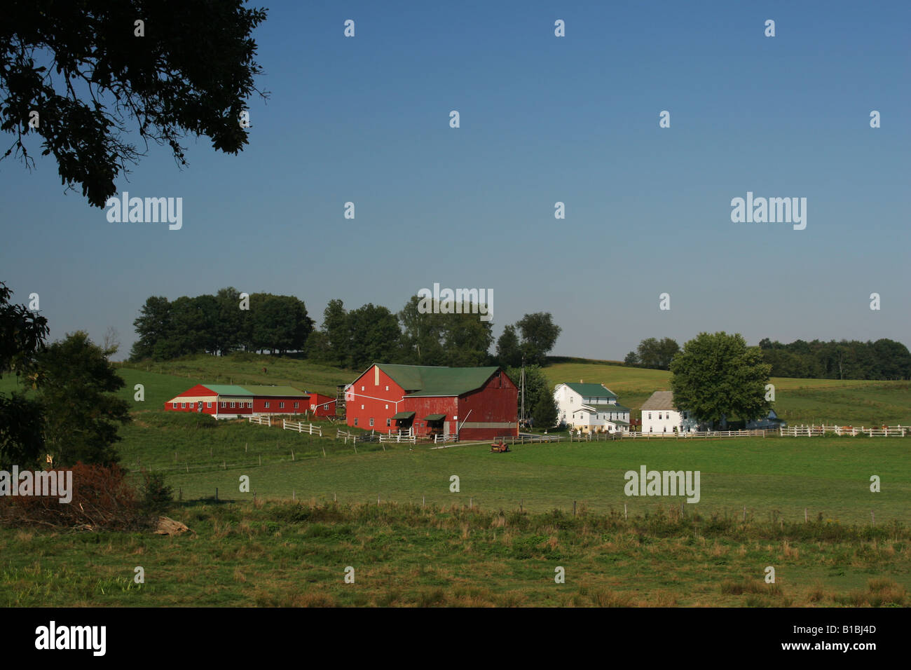 Amish Country Farm Central Ohio Stock Photo - Alamy
