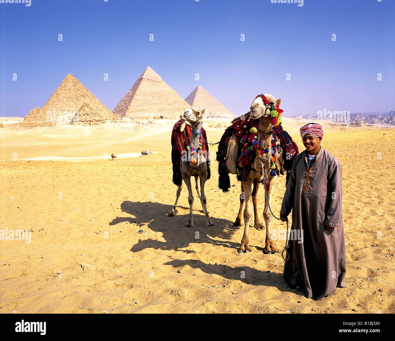 Pyramids and camel rider Giza Cairo Egypt Stock Photo - Alamy