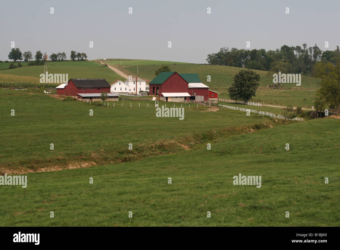 Amish farm ohio hi-res stock photography and images - Alamy