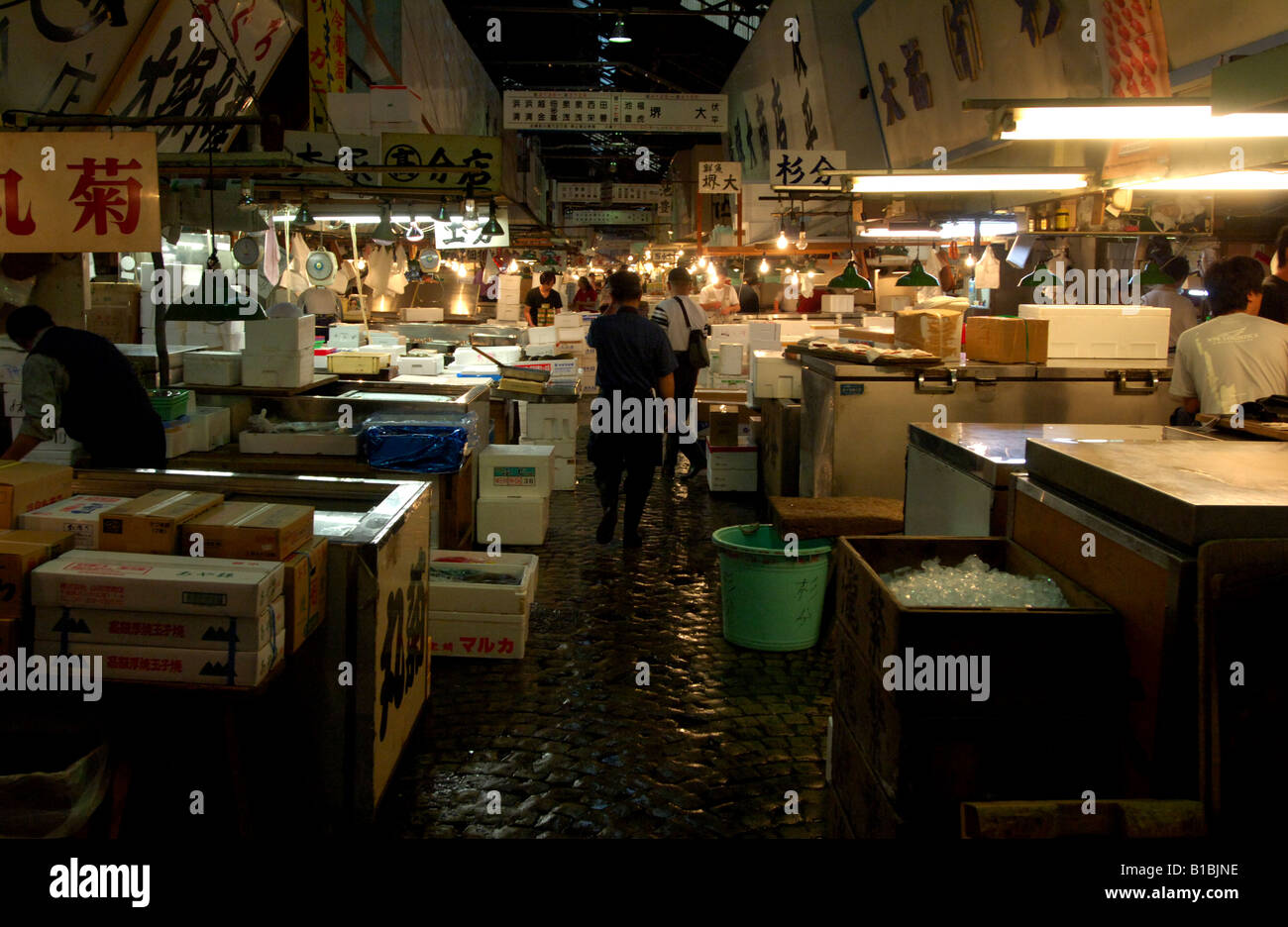 Tsukiji fish market, Tokyo, Japan Stock Photo - Alamy